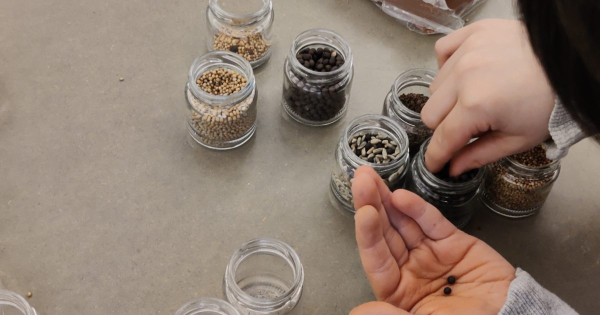 Drop in! Flowers to Bloom | The Contemporary Art Museum of Luxembourg