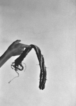 Katinka Bock | Mudam