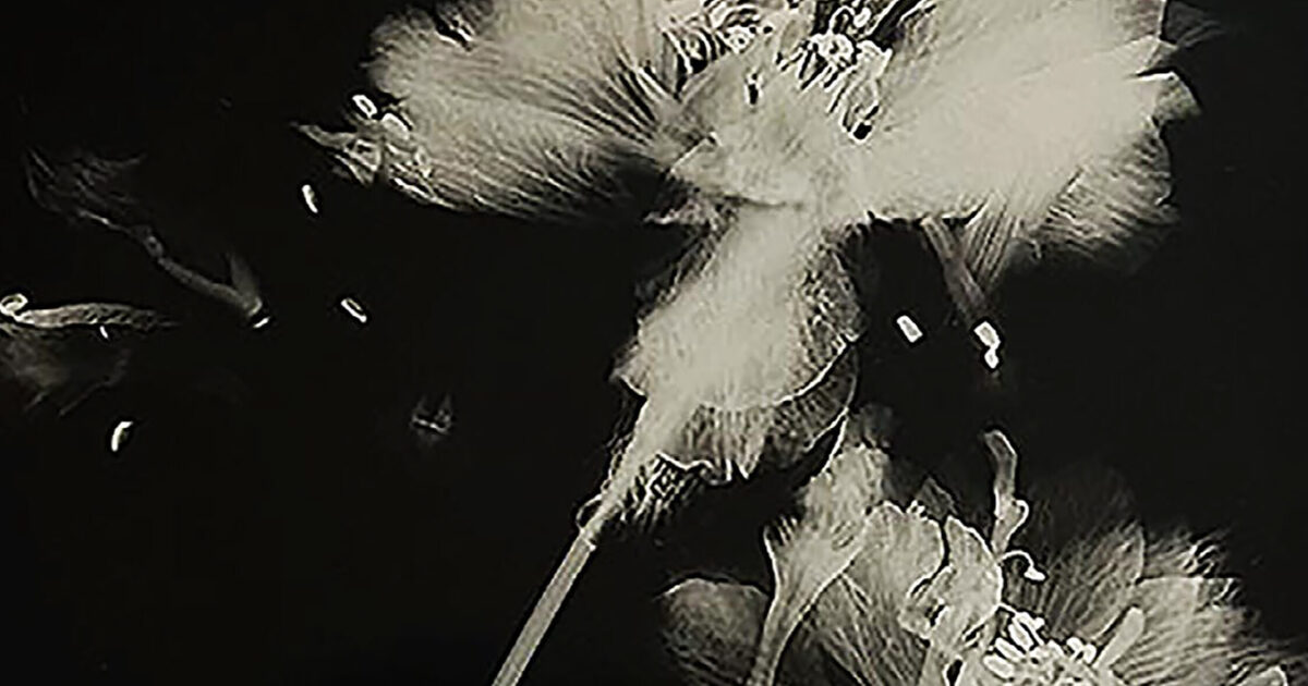 Mudam Akademie | Image and temporality: photography as a medium to ...