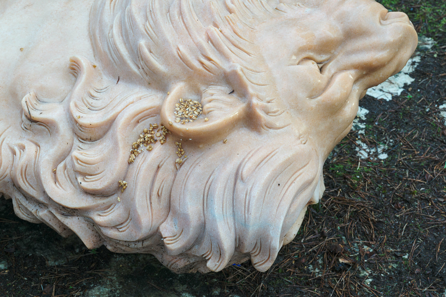 English | Mudam GO! Architectural outlines