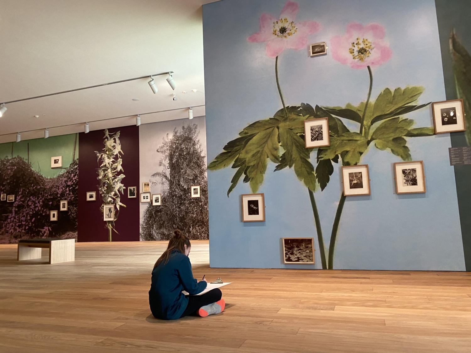 English | Enjoy art in many ways