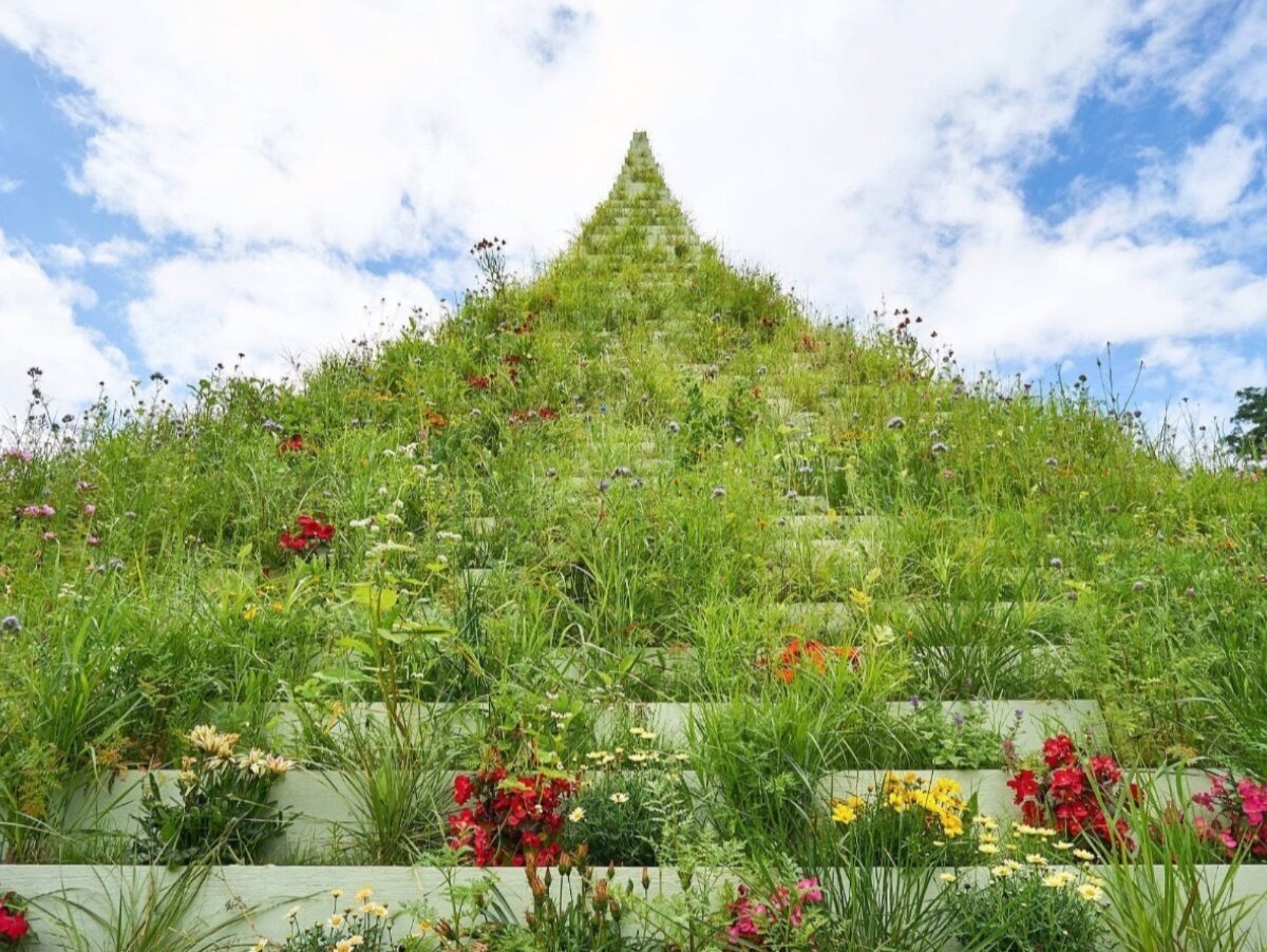 Open Call: Agnes Denes’ Time Capsule | The Contemporary Art Museum of ...